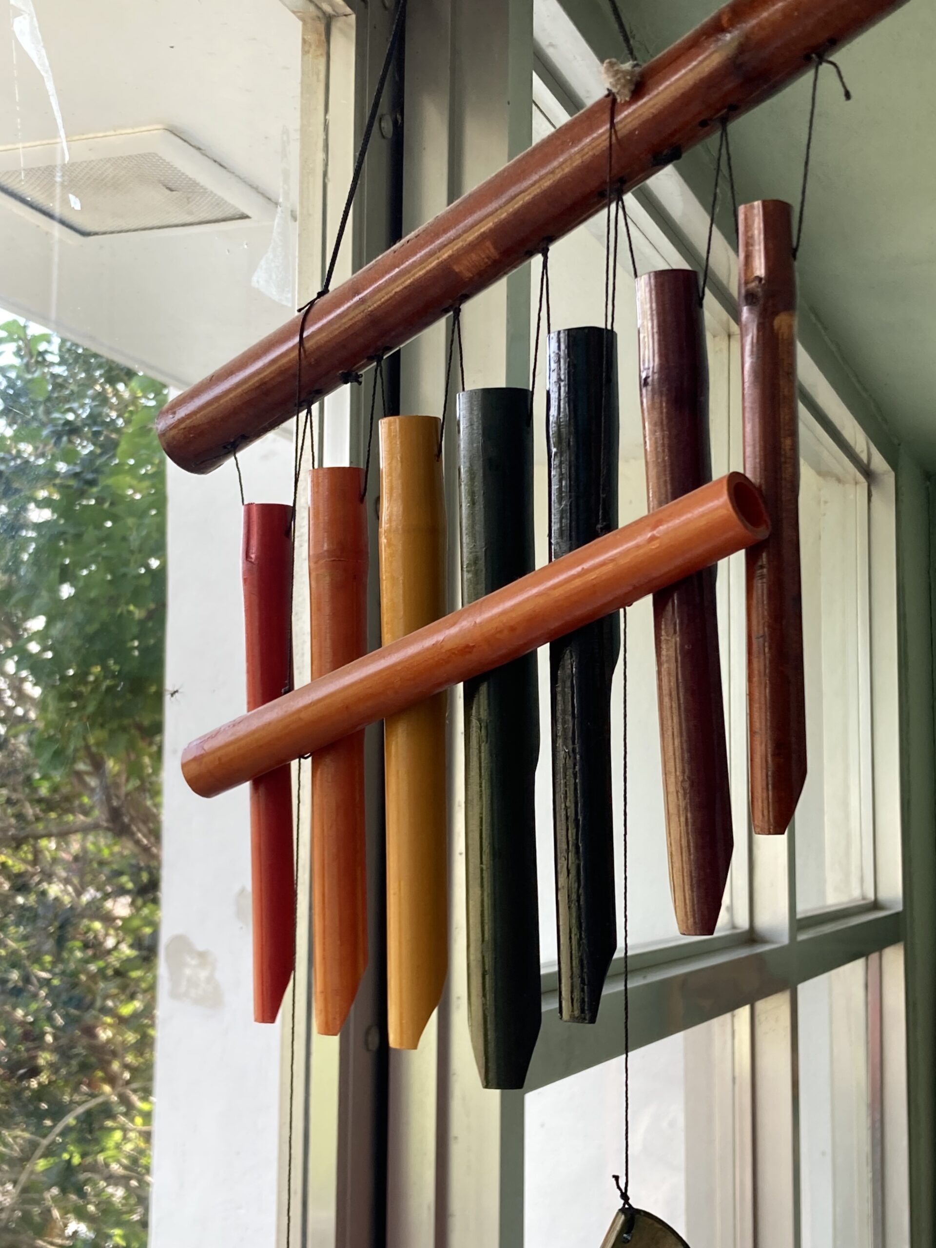 Living Your Mission of Peace - Claudia Mann